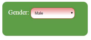 HTML Select Dropdown Learn To Create And Style With CSS
