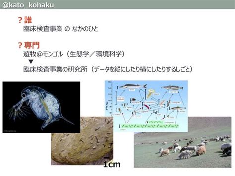 Exploratory Data Analysis Using Xgboost Package In R Pptx