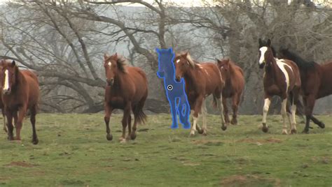 Meta Segment Anything Model 2 Sam 2 Explained Dataconomy