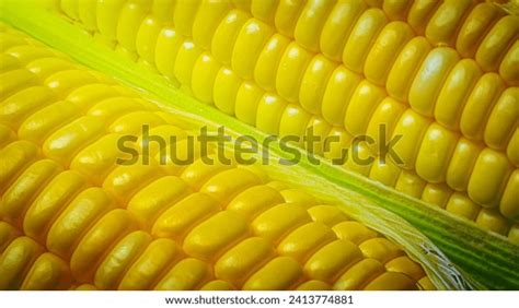 Kernels Rows Photos Images And Pictures