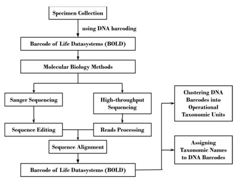 The Dna Barcoding Workflow Based On Wilson Et Al 6