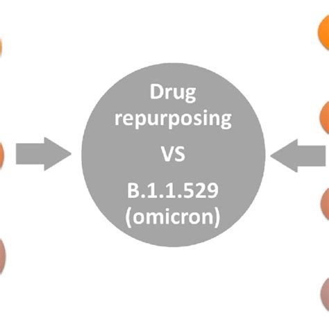schematic representation of the overall workflow applied in the current