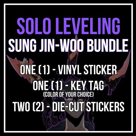 Solo Leveling Sung Jin Woo Bundle Vinyl Sticker Die Cut Etsy