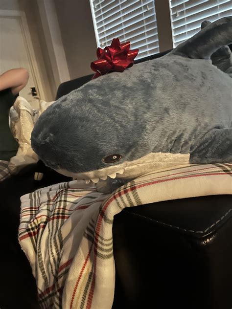 My s m o l pink Blahaj gf just came in today! : r/BLAHAJ