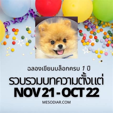 ฉลองเขียนบล็อกครบ 1 ปี รวบรวมบทความตั้งแต่ Nov 21 Oct 22 Burasakorn Sabyeying Mils