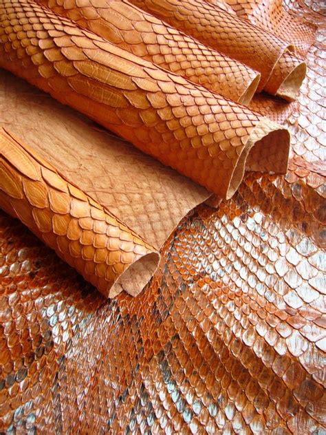 Texture Of Exotic Skin The Skin Of A Python A Snake Is Red Orange Stock Image Image Of
