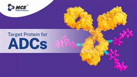 Bioetc Pte Ltd Mce Target Protein For Adcs