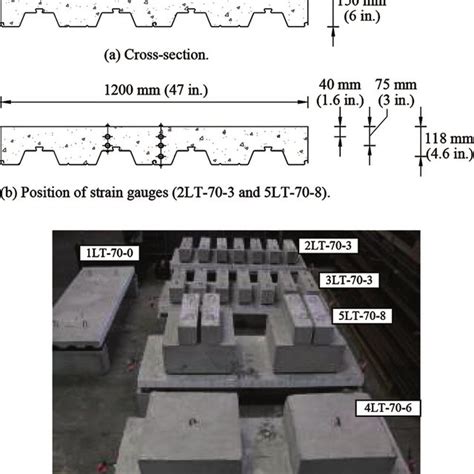 Profiled Steel Decking For Composite Concrete Slabs Courtesy Fielders Download Scientific