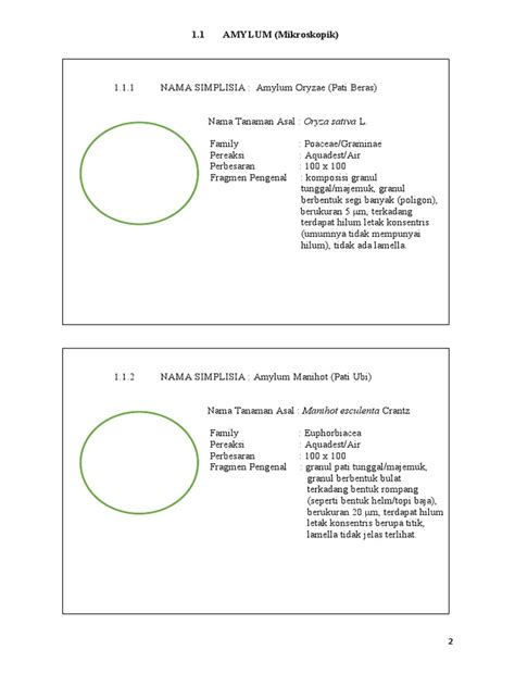 Amylum Mikroskopik Pdf