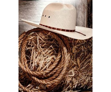 Fred James Beil Obituary 2024 Savannah Tn Shackelford Funeral