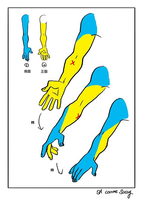 Pin by Cyrill G on Рисование Drawing Drawing tutorial Anatomy drawing Anatomy reference
