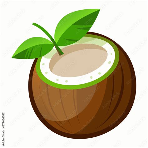 Coconut Clipart Cartoon Illustration Drawing Stock Vector Adobe Stock