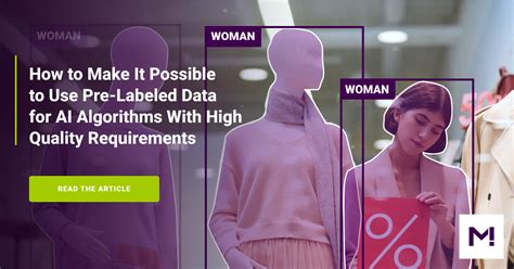 how to use pre labeled data for ai algorithms with high quality