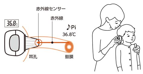 体温計について｜商品情報 オムロン ヘルスケア