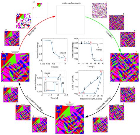 Numerical Study 3 The Full Transformation Cycle For J ¼ 5 Mpa The