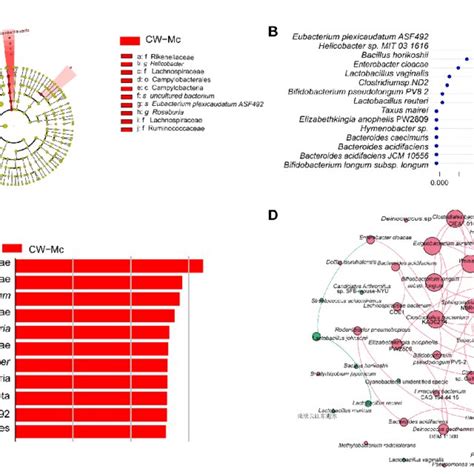 A Evolutionary Branching Diagram Based On Lda Effect Size Analysis Download Scientific