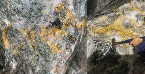 Gold Veins Identification And Pictures Geology In