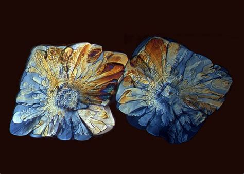 Edta Used In Making Breads And Food Derivatives In Endodontics And As