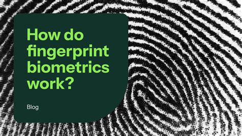 How Do Fingerprint Biometrics Work Huru