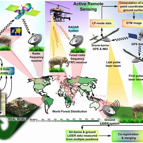 Application Of Geographic Information System Gis In Biodiversity Download Scientific Diagram