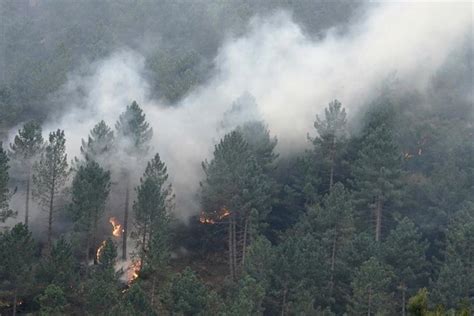 La Exposición Al Humo De Los Incendios Forestales Aumenta El Riesgo De