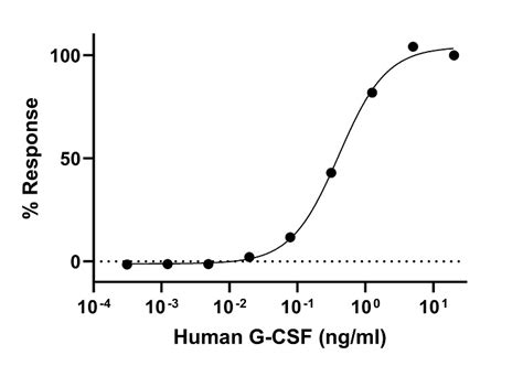 Recombinant Human G Csf Protein Active Ab307484 Abcam