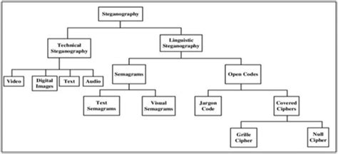 Classification Of Steganography Techniques 7 Download Scientific Diagram