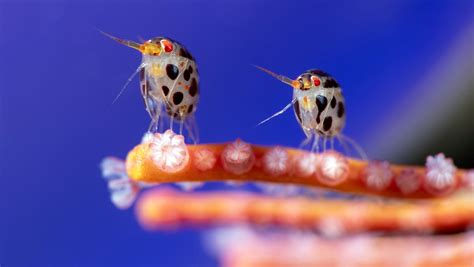 RGB Vs Lab Colour What It Is And How You Can Use It When Processing Your Images