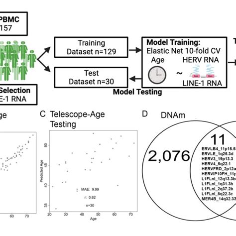 Integration Of Age Related Transposable Element Expression And Download Scientific Diagram