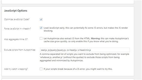 Defer Parsing Of Javascript Support Themeco Forum
