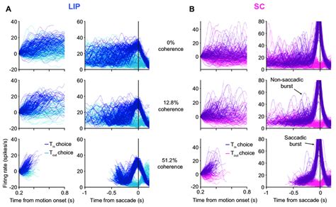 Single Trial Dynamics In Lip And Sc Are Different A Single Trial Download Scientific Diagram