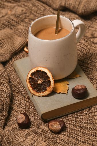 아늑한 겨울 라이프 스타일 컨셉 빈티지 책과 따뜻한 니트 옷과 함께 따뜻한 음료 한 잔 0명에 대한 스톡 사진 및 기타 이미지 0명 10월 가을 Istock