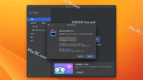 Goland 2022 For Mac最好用的go语言编程软件v202231中文激活版 哔哩哔哩