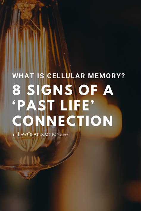 In This Guide Well Explore The Nature Of This Special Kind Of Memory