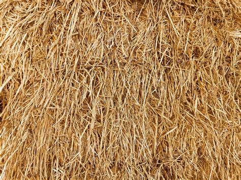 Premium Photo Hay Texture Hay Bales Are Stacked In Large Stacks