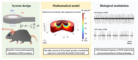 Graphical Abstract An Optimized Design Of RTMS System For Exploring Download Scientific