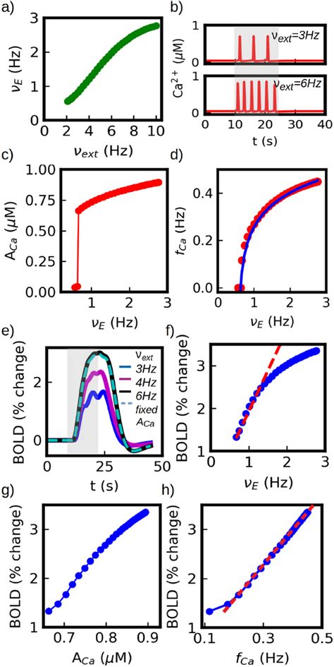 Neuronal And Calcium Coding Of An External Stimulus A Average Firing