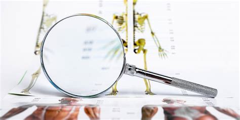 An Irish Anatomist Opines On Sex And Gender — Genspect