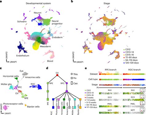 Systemic Data Integration A Umap Of Visualization Of Our Dataset And Download Scientific