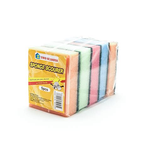 Two Seasons 5 Pc Sponge Scourer Four Seasons Global Trading