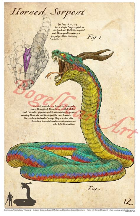 Horned Serpent Naturalist Plate Etsy
