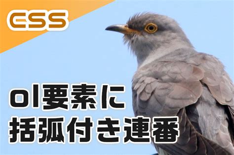【css】flexを解除したい、その時はdisplayblockを使おう！