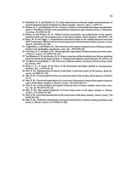 Inferior Temporal Cortex Pdf