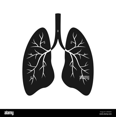 Black Lungs Icon On White Background Flat Vector Illustration Stock
