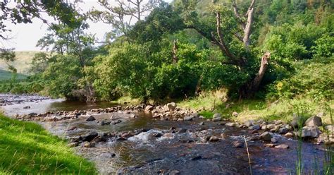 Days Out In The Borders River Breamish