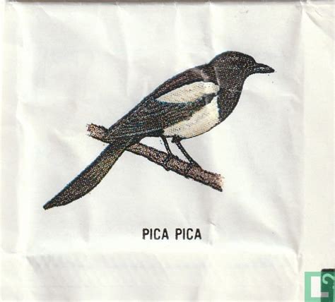 Pica Pica Zakje Lastdodo