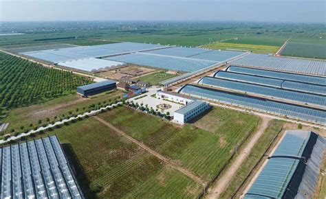 礼泉：聚焦设施农业扩能提升 推进现代农业高质量发展凤凰网陕西 凤凰网