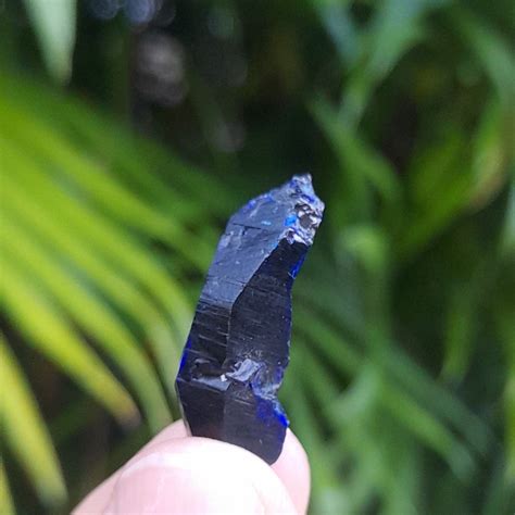 azurite plant essentials