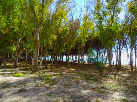 Heraclea Minoa Wikitravel