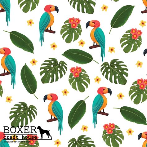 Tropics Pattern Six Boxer Craft House